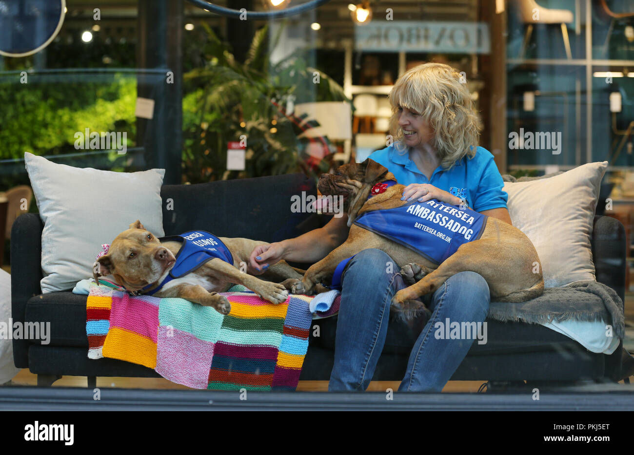 Home furniture retailers hi-res stock photography and images - Alamy