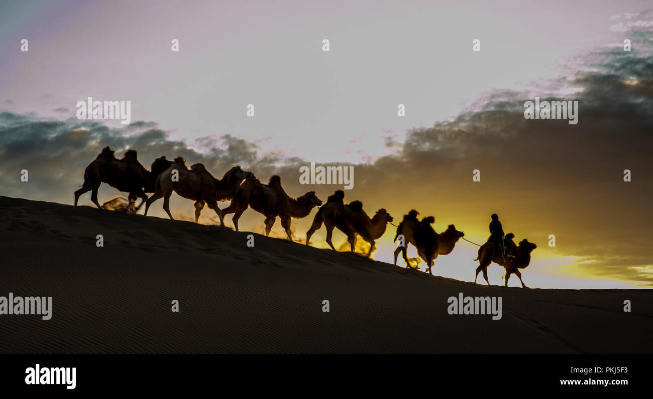 Ejin banner hi-res stock photography and images - Alamy