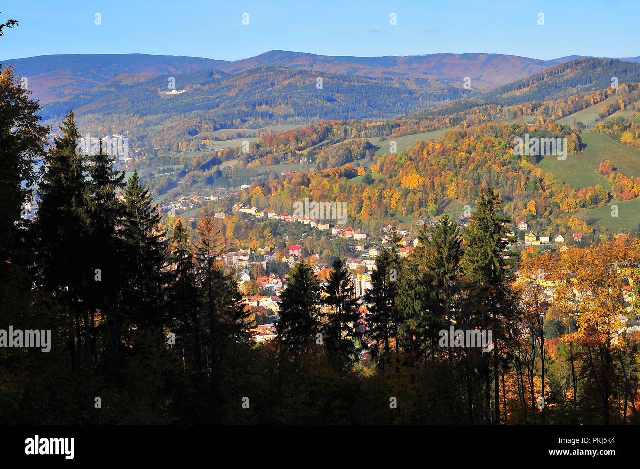 Mountain forest Autumn in Jeseníky Mountains, Czech Republic Stock ...