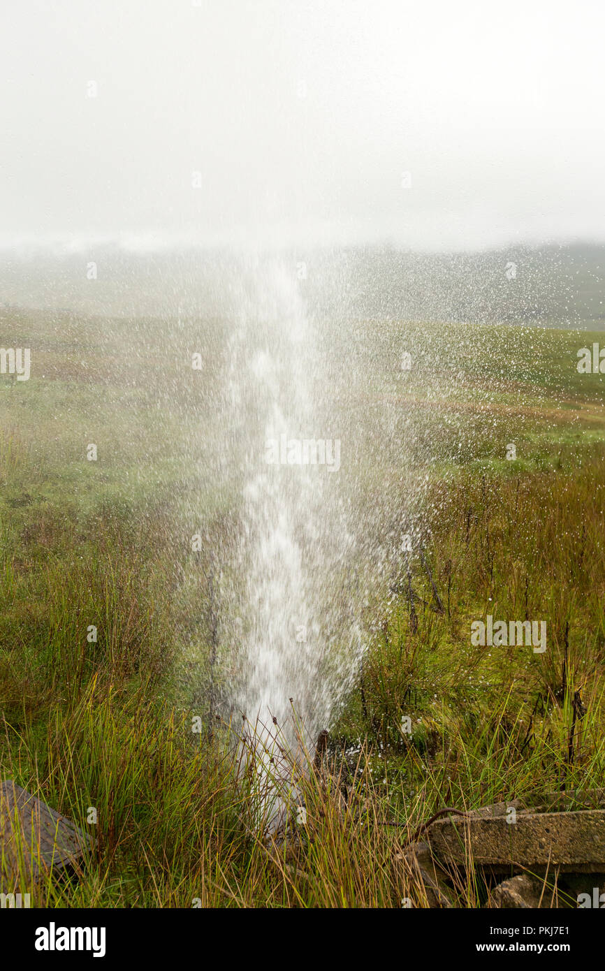 Spurting out hi-res stock photography and images - Alamy
