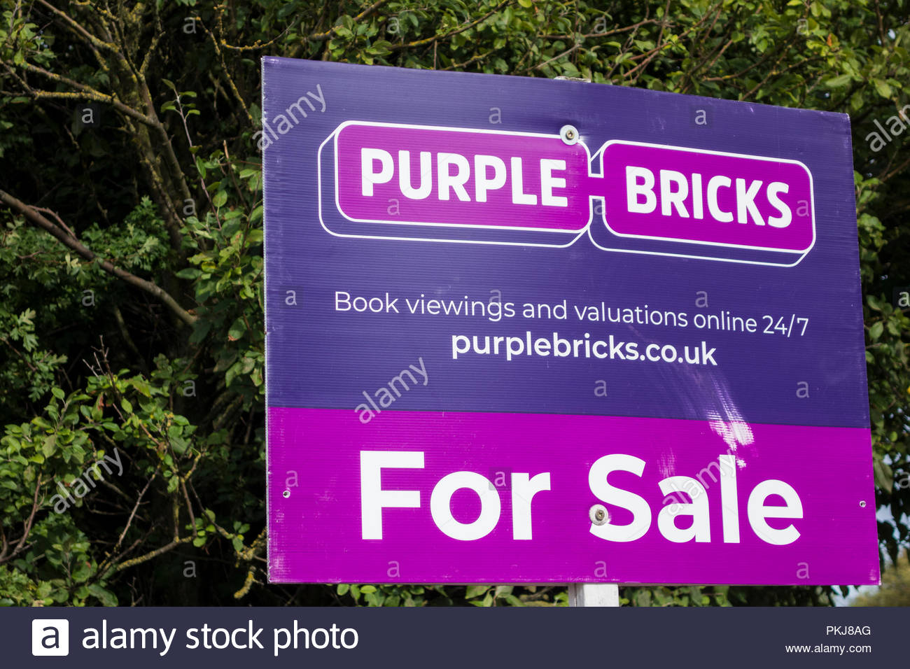 Purple Bricks High Resolution Stock Photography and Images - Alamy