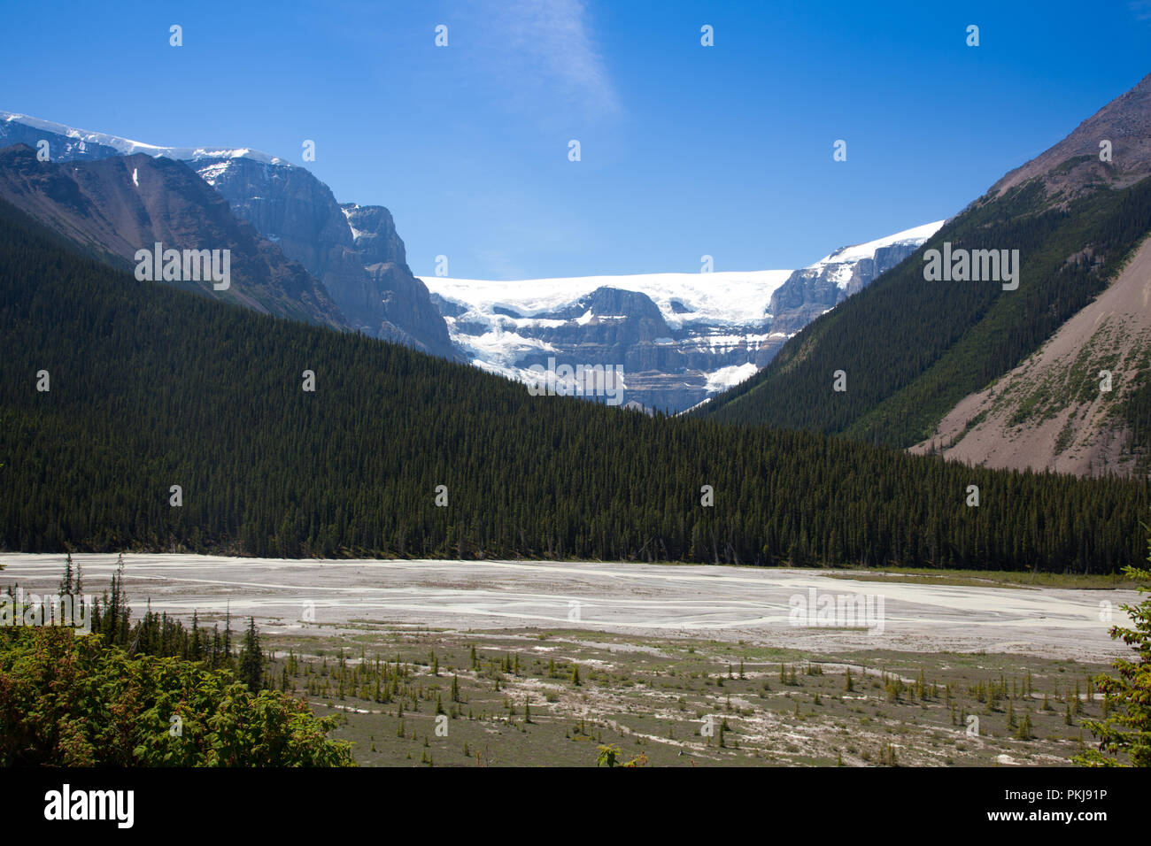 Columbia icefield receding hi-res stock photography and images - Alamy