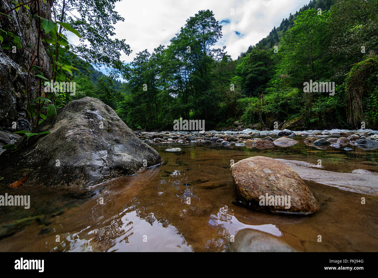A view of the Firtina stream Stock Photo - Alamy