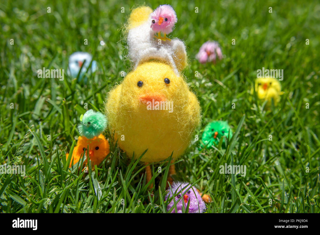 Lovely joyful hi-res stock photography and images - Alamy