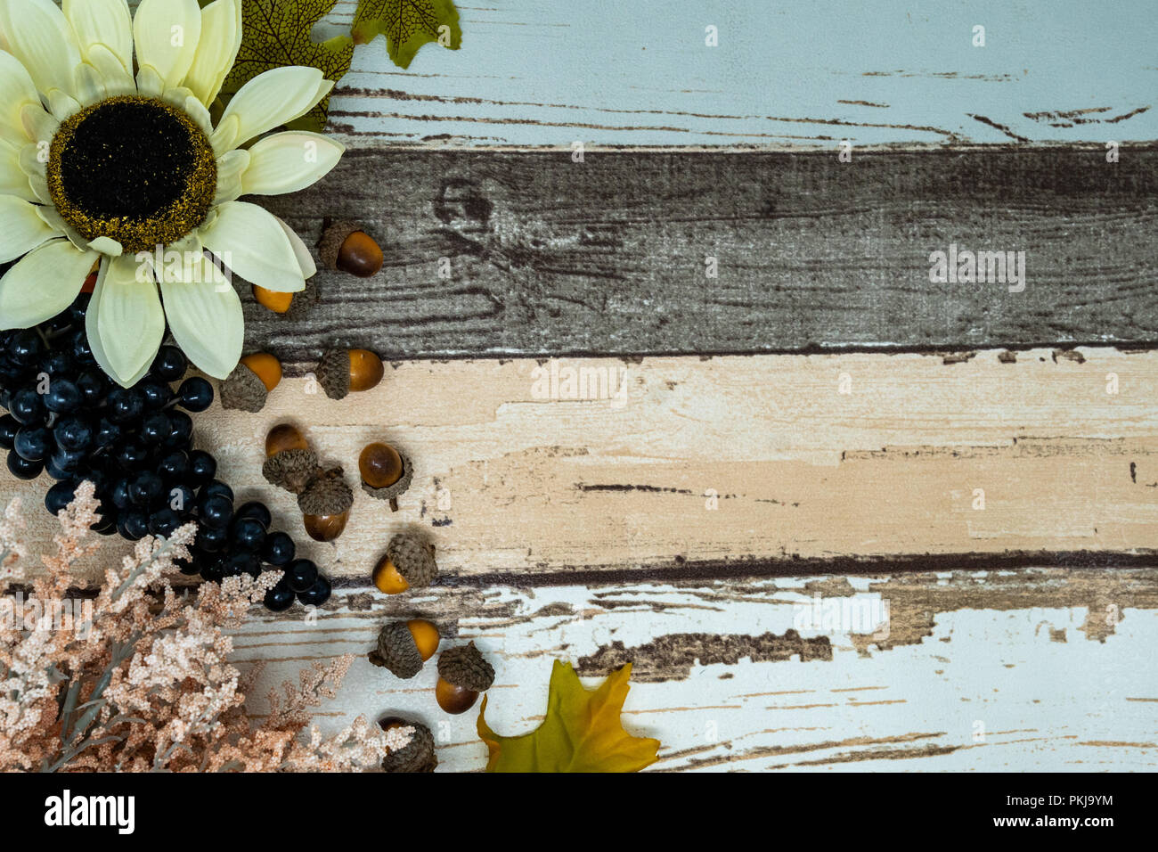 Rustic beautiful pastel colored fall background with acorns and foliage ...