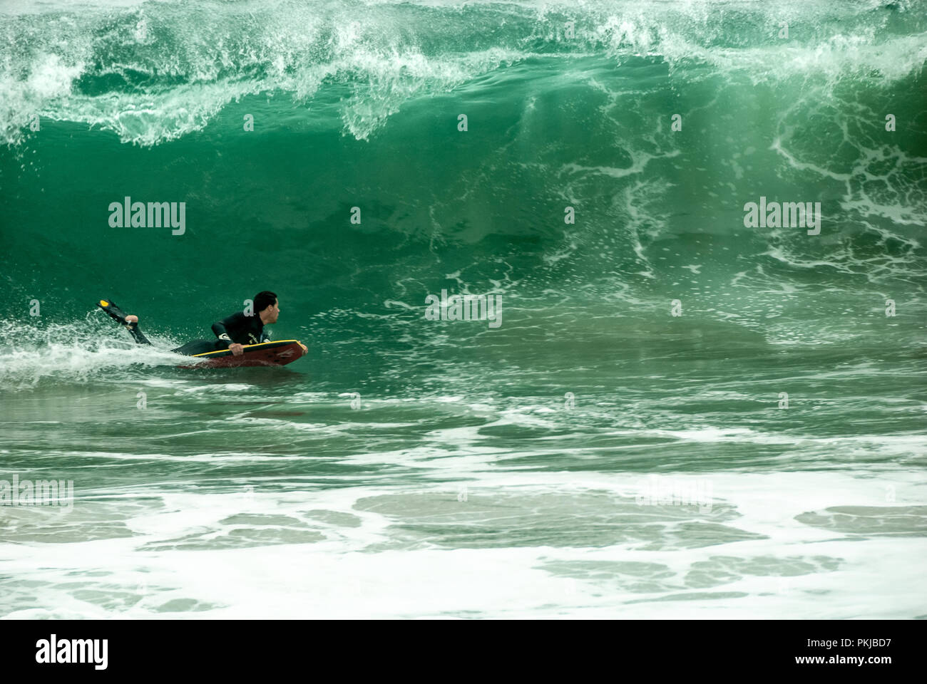 Bodyboarder flies under the lip of a huge wave at The Wedge on Balboa ...