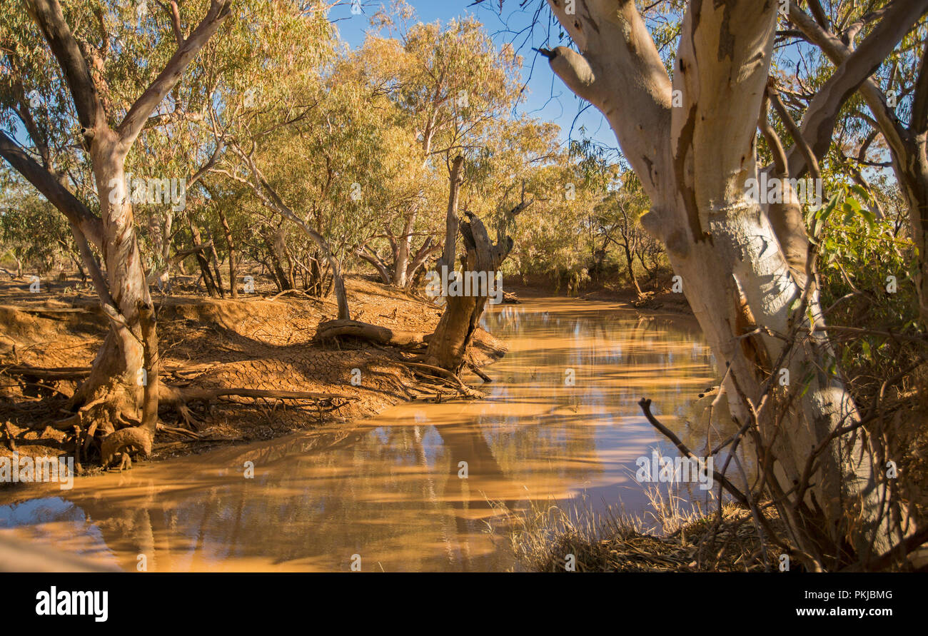 Tributary to blackwater river hi-res stock photography and images - Alamy