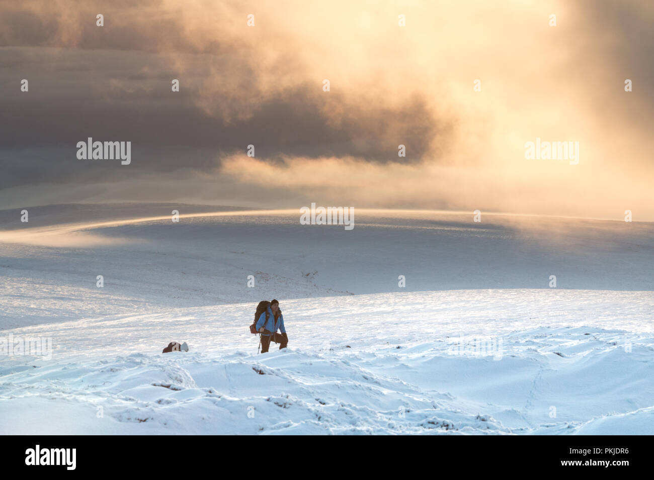 A hiker pauses while walking through the deep snow on the high moors of ...