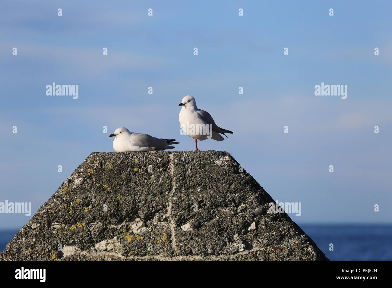 Kay hill hi-res stock photography and images - Alamy