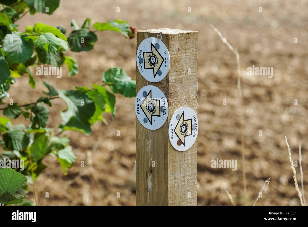 Footpath in the Chiltern Hills, Buckinghamshire, England United Kingdom ...