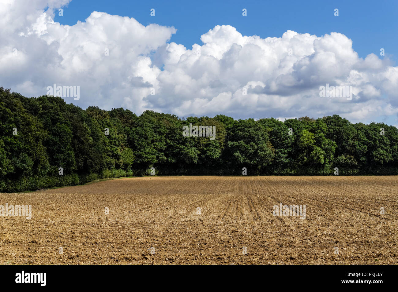 Rural landscape with clouds and blue sky, Buckinghamshire, England ...