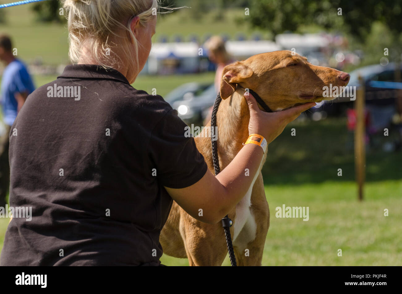 English Country Fair Stock Photo - Alamy