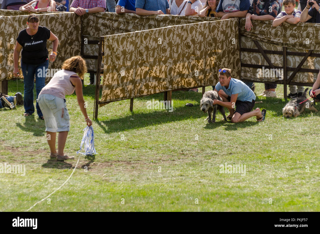 English Country Fair Stock Photo - Alamy