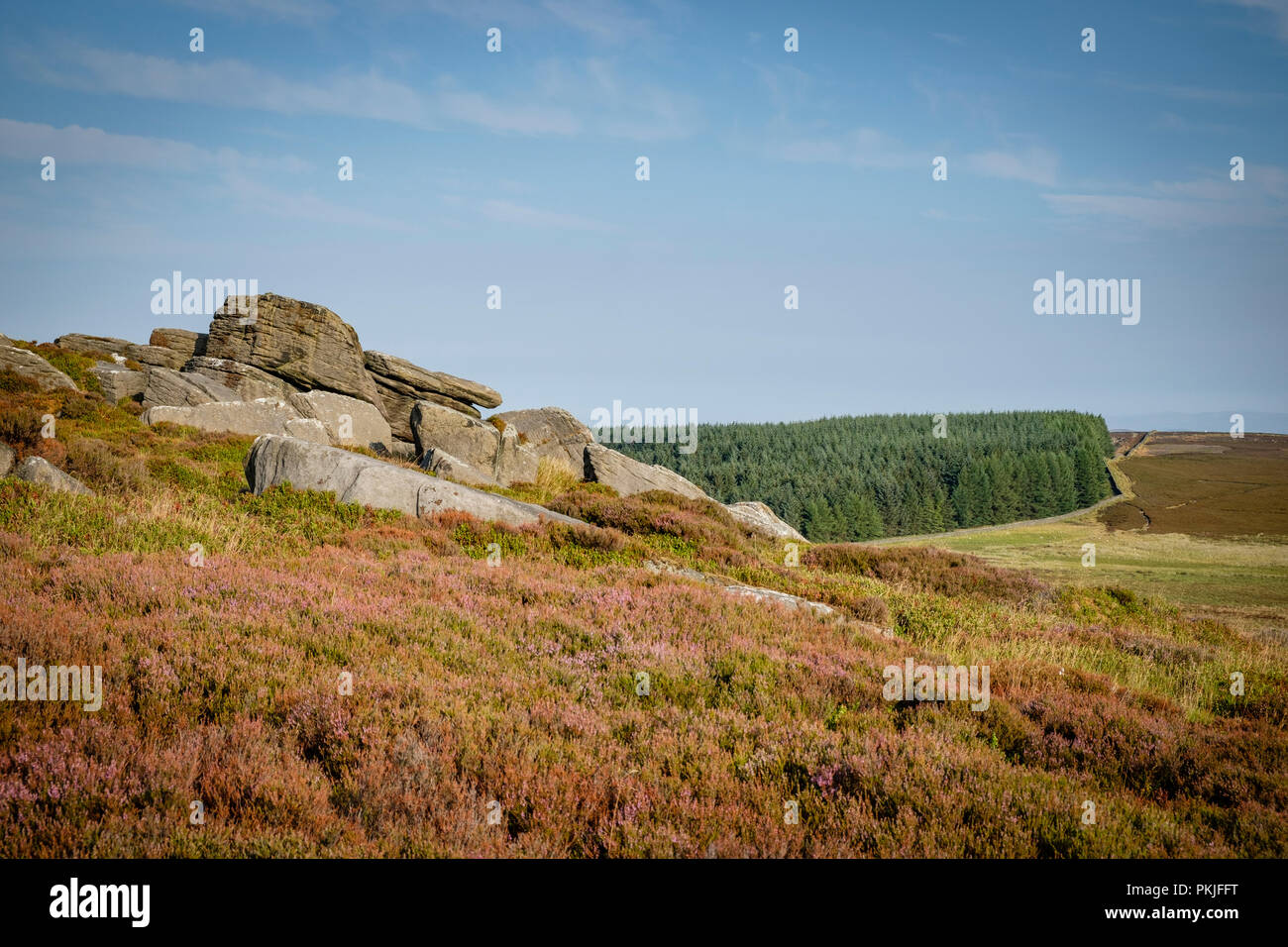 The Buck Stones situated on Ilkley Moor, West Yorkshire, England, UK ...