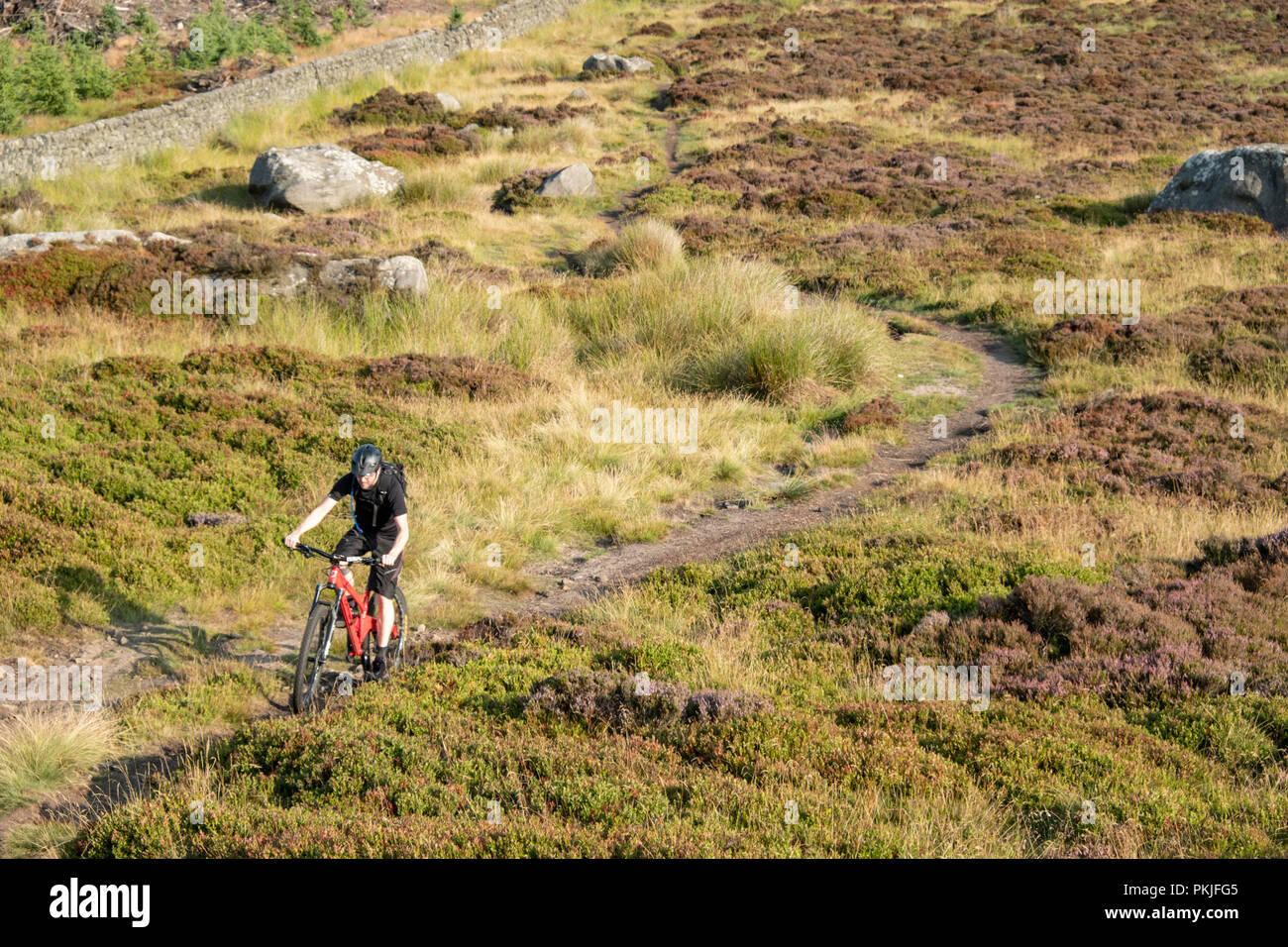 Mountain biker calf hi-res stock photography and images - Alamy