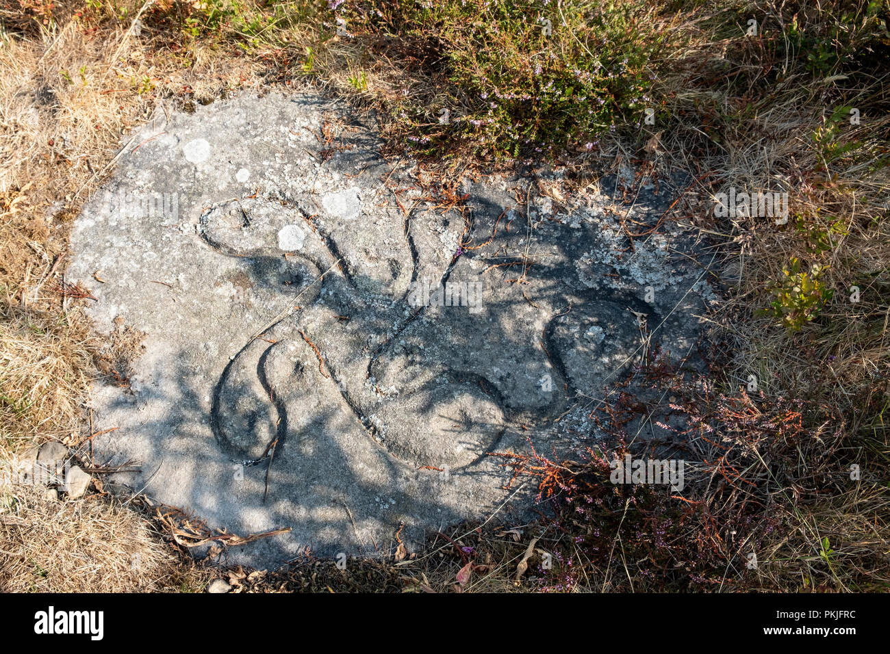 The Swastika Stone situated on Ilkley Moor, West Yorkshire, England, UK ...
