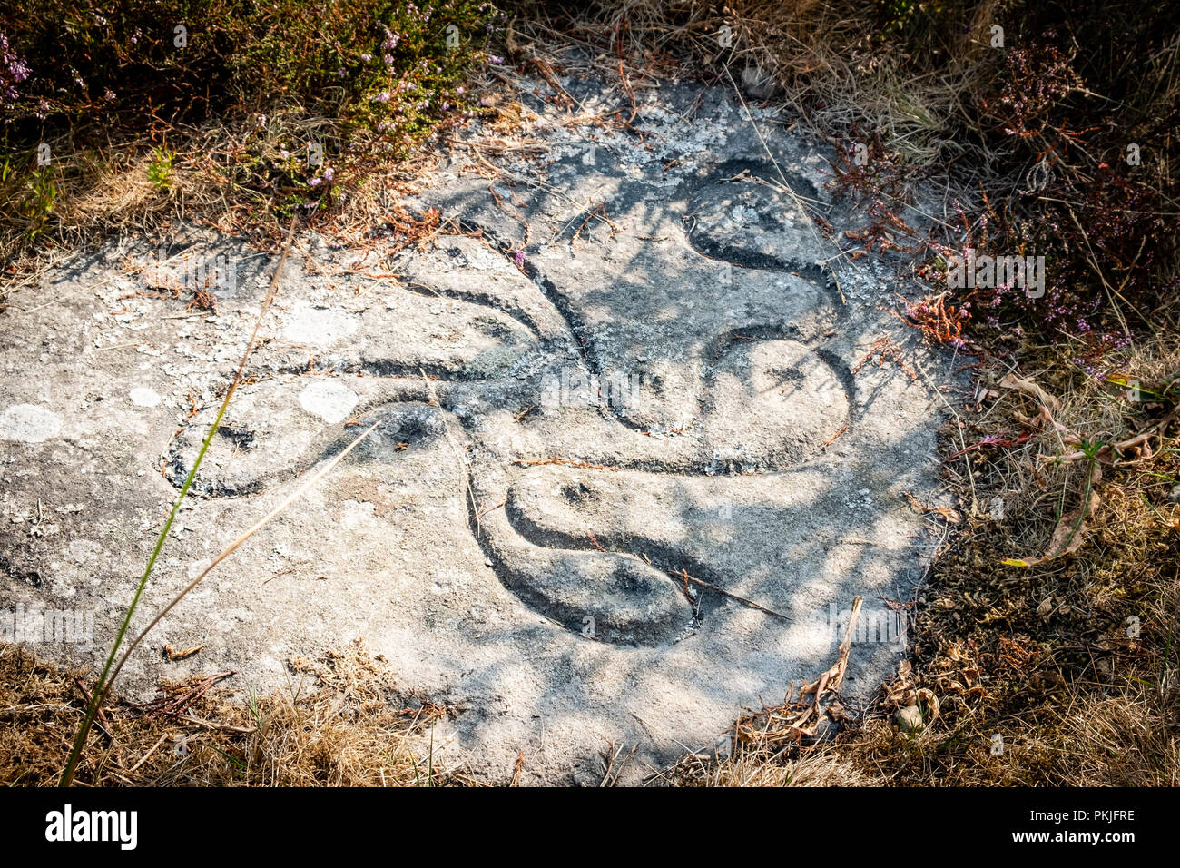 The Swastika Stone situated on Ilkley Moor, West Yorkshire, England, UK ...