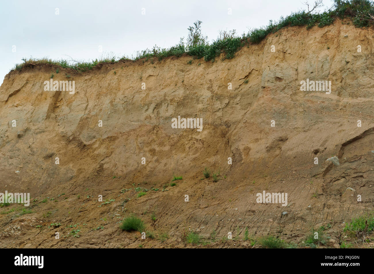 steep sea shore, clay overgrown slope, different soils on the collapsed ...
