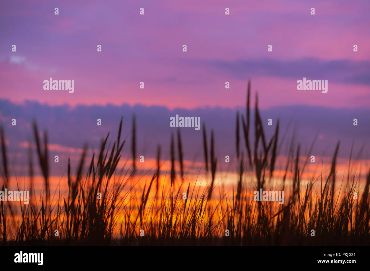 Lilac pink sunset hi-res stock photography and images - Alamy