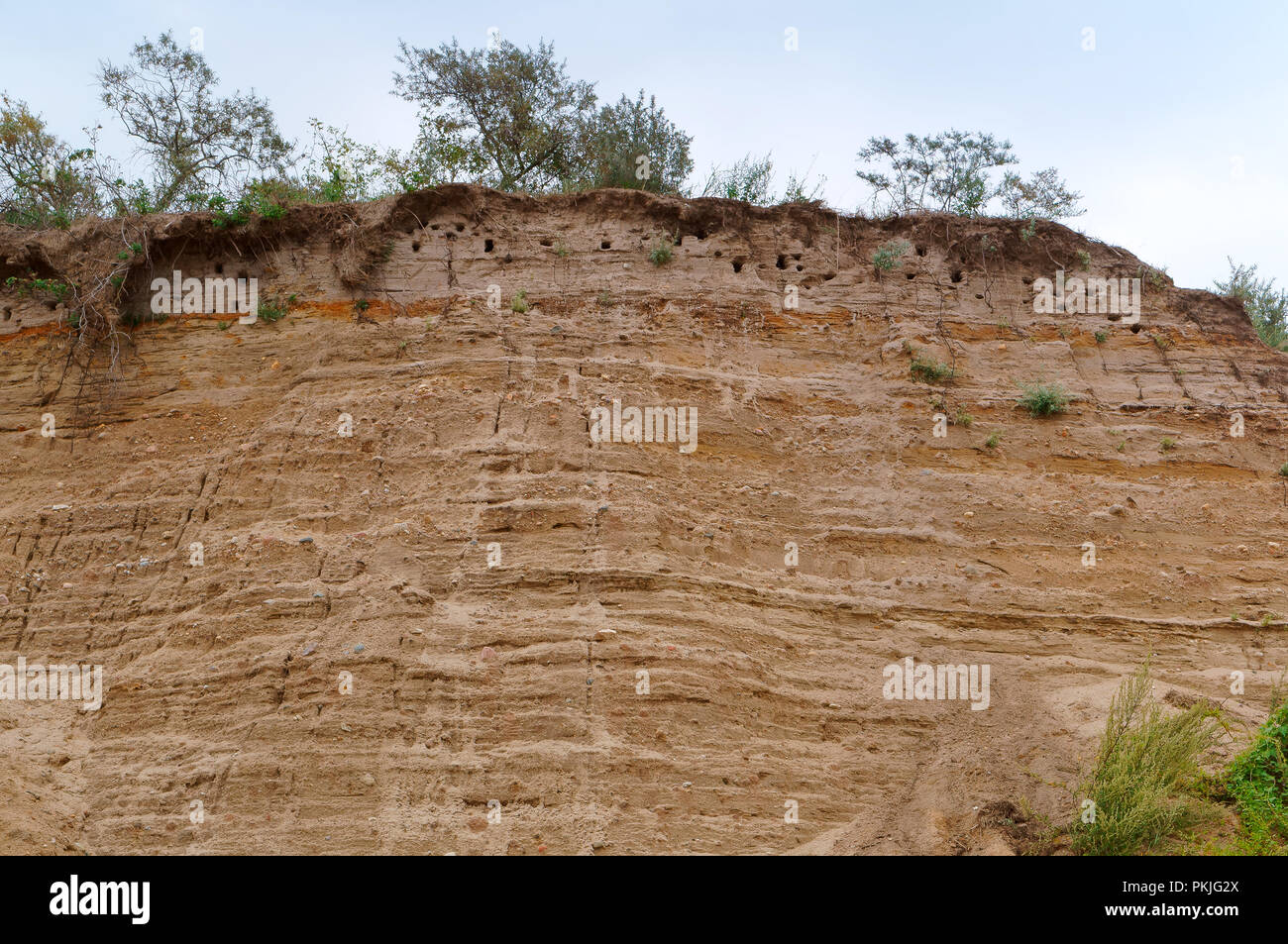 Deep clay soils hi-res stock photography and images - Alamy