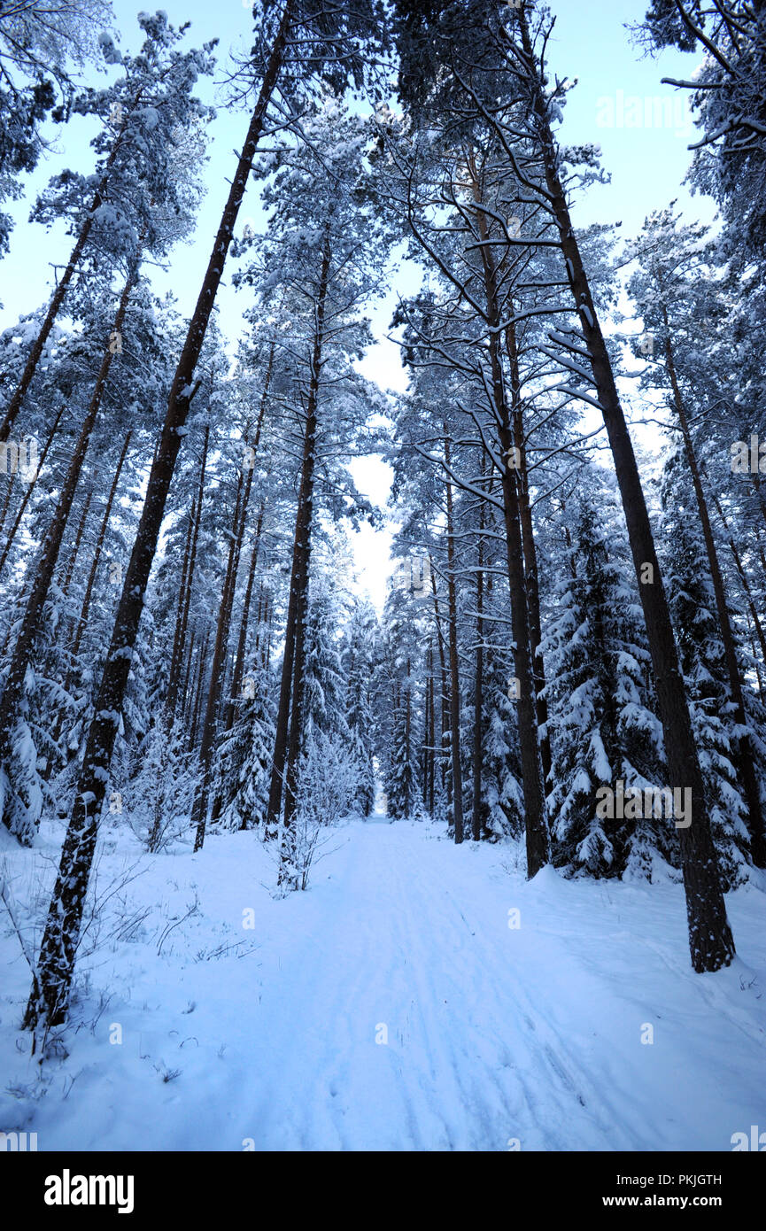 Suwalki region hi-res stock photography and images - Alamy