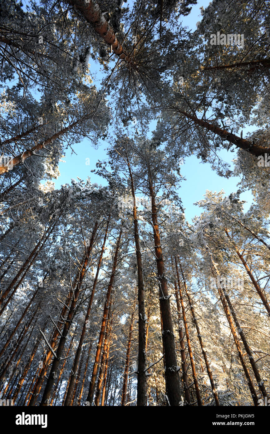 Augustów poland hi-res stock photography and images - Alamy
