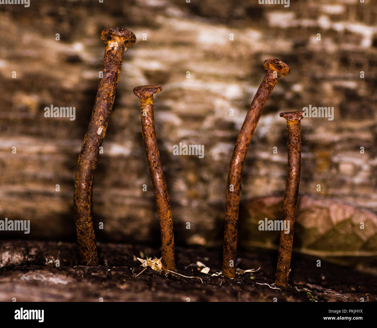 4 crooked rusted nails standing in ground Stock Photo - Alamy