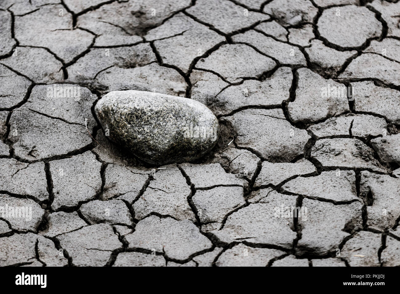 Dry cracked mud close up with a rock embedded Stock Photo - Alamy