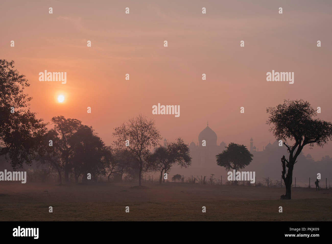 Taj Mahal At Sunrise In Winter