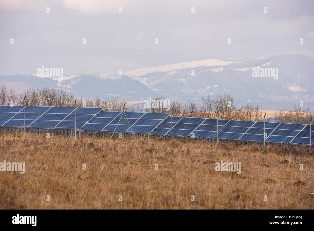 Solar panel park. Large photovoltaic power station. Ecological ...