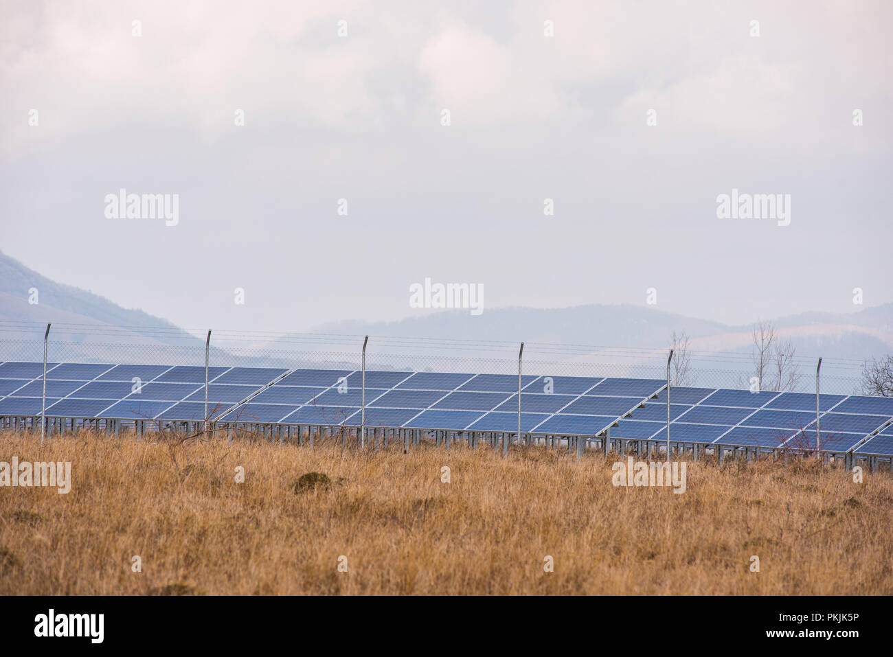 Solar panel park. Large photovoltaic power station. Ecological ...
