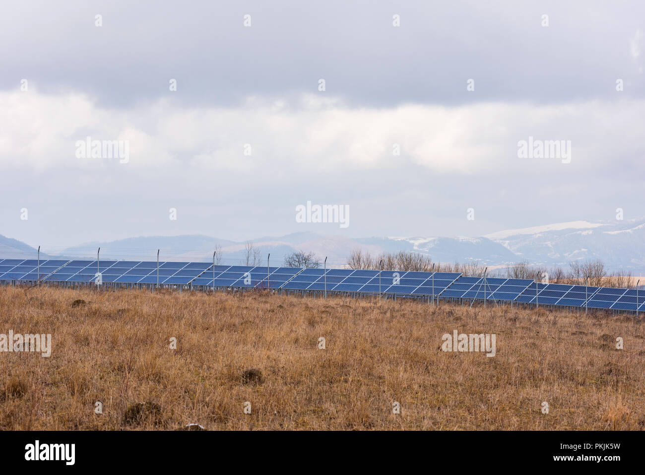 Solar panel park. Large photovoltaic power station. Ecological ...