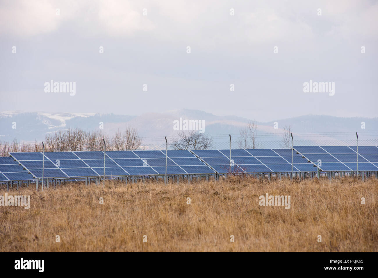 Solar panel park. Large photovoltaic power station. Ecological ...