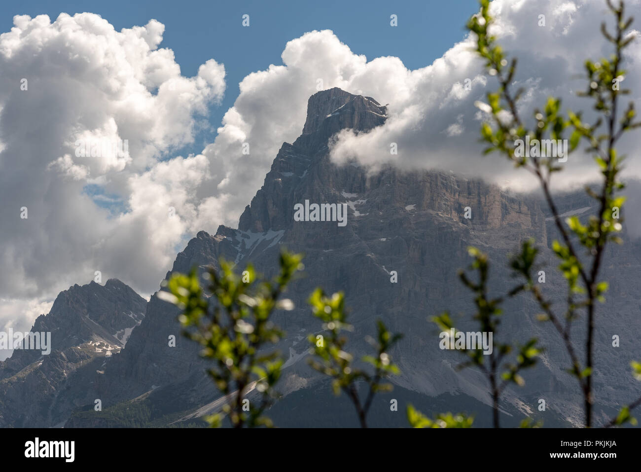 Mount Pelmo from Palafavera, Italy Stock Photo - Alamy