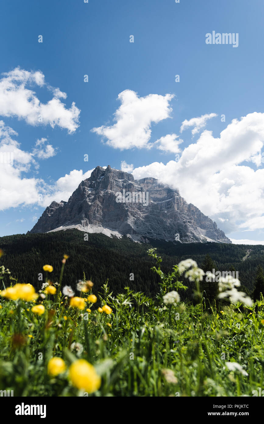 Mount Pelmo from Palafavera, Italy Stock Photo - Alamy