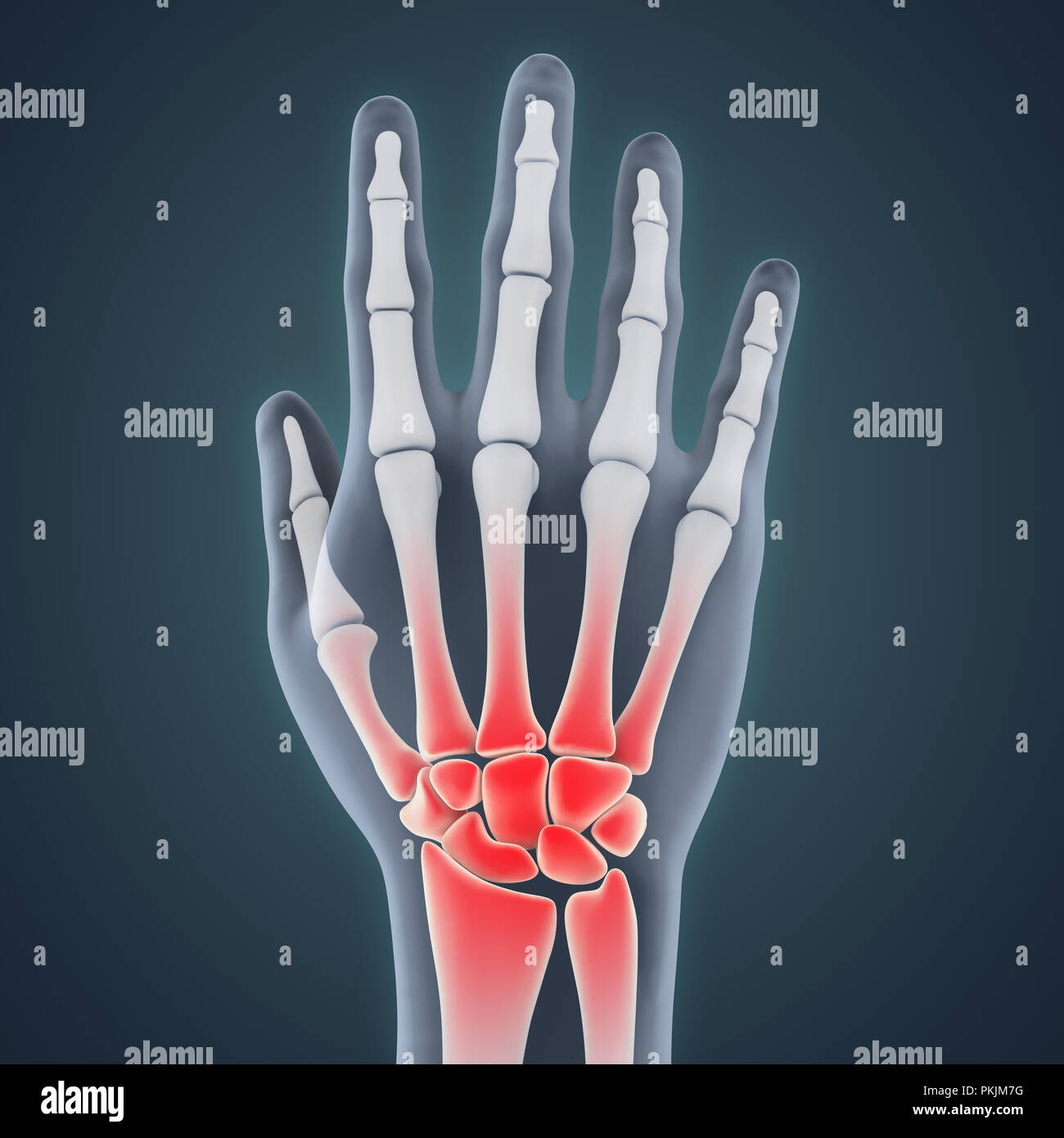 Human fingers anatomy hi-res stock photography and images - Alamy