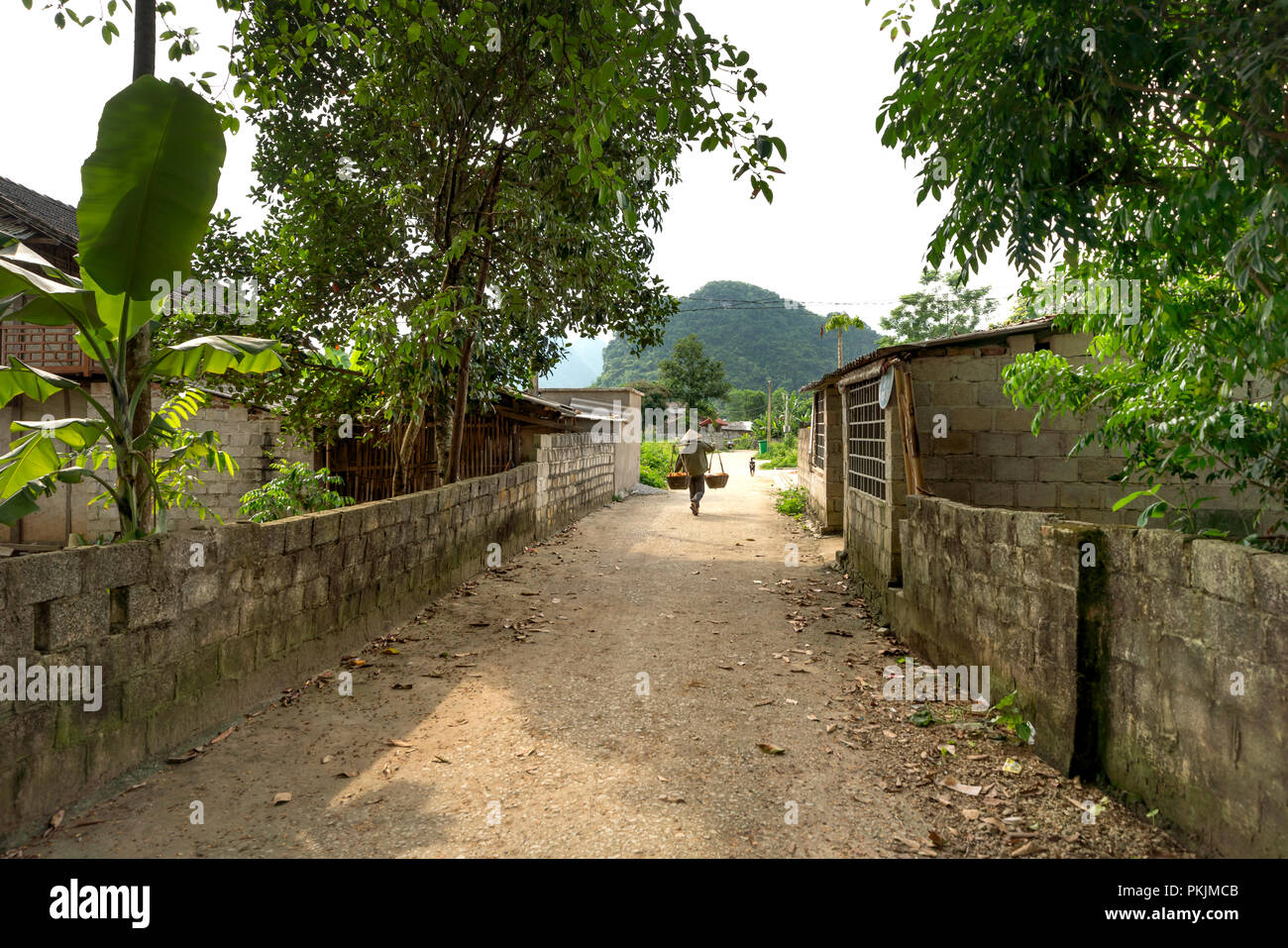 The road in the village of rural Vietnam Stock Photo - Alamy