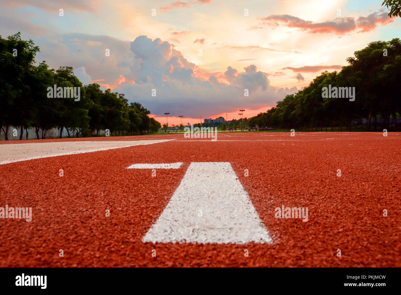 Running track for the athletes background, Athlete Track or Running ...