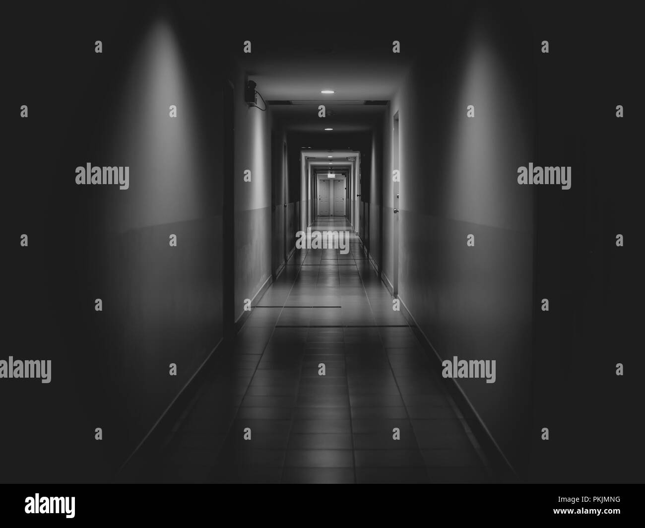 Dark mysterious corridor in building. Door room perspective in lonely ...