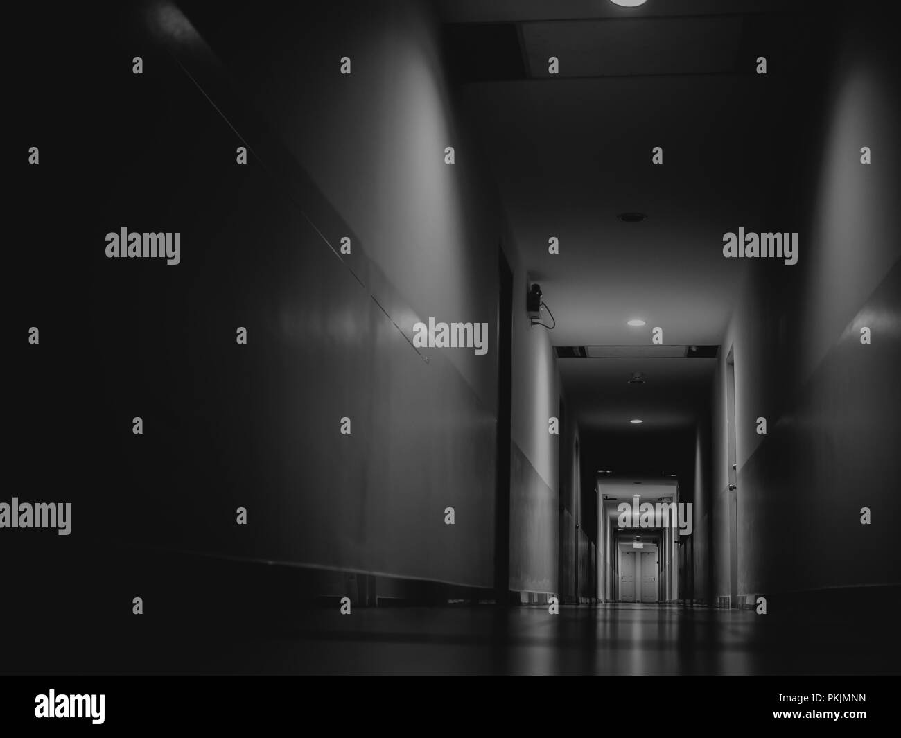 Dark mysterious corridor in building. Door room perspective in lonely ...