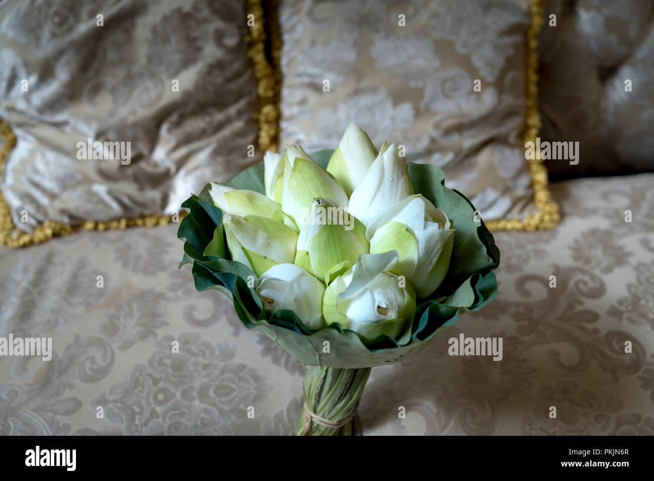 Bunch lotus flower bud buds hi-res stock photography and images - Alamy