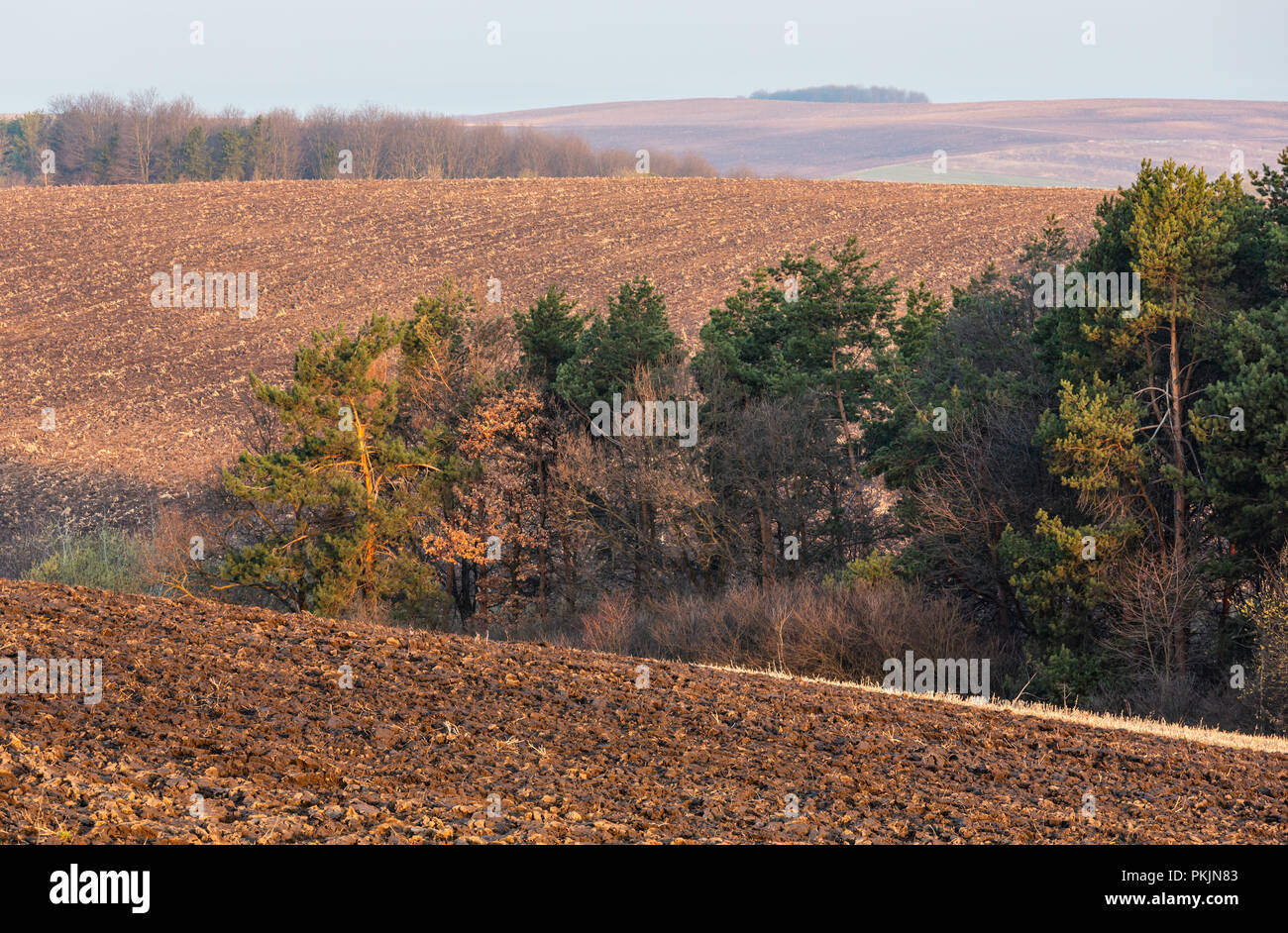 Spring morning rural country landscape with plowed agricultural fields ...