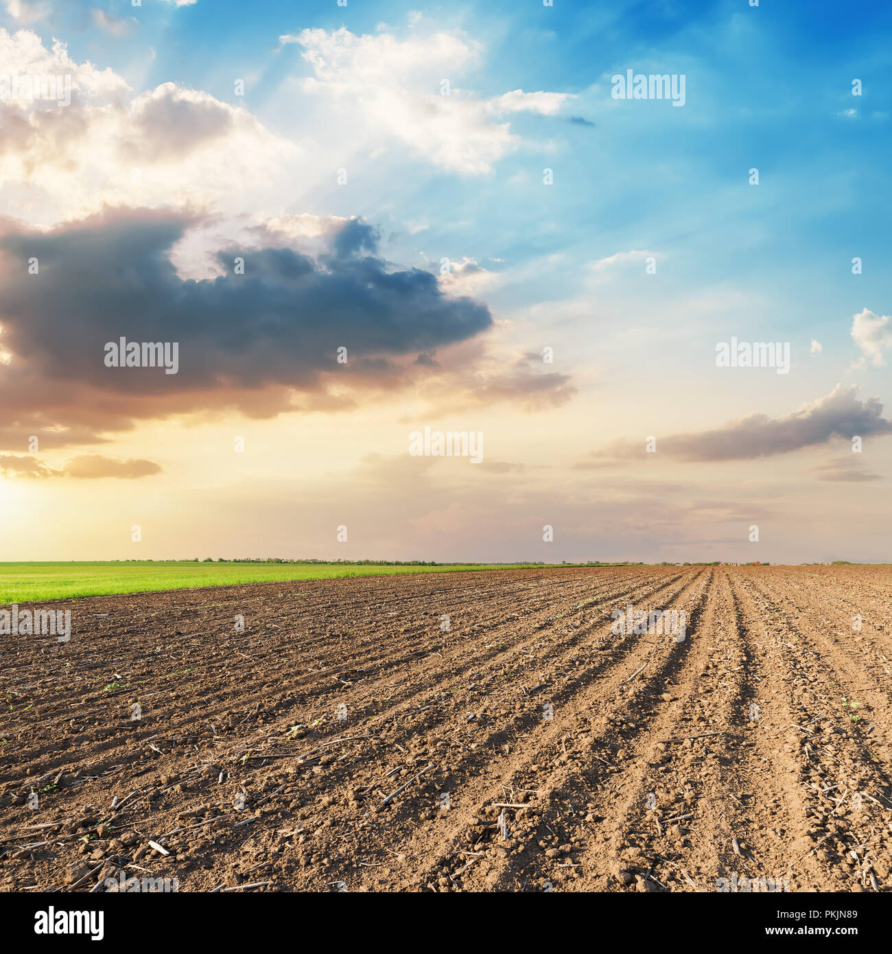Green meadow low dramatic hi-res stock photography and images - Alamy