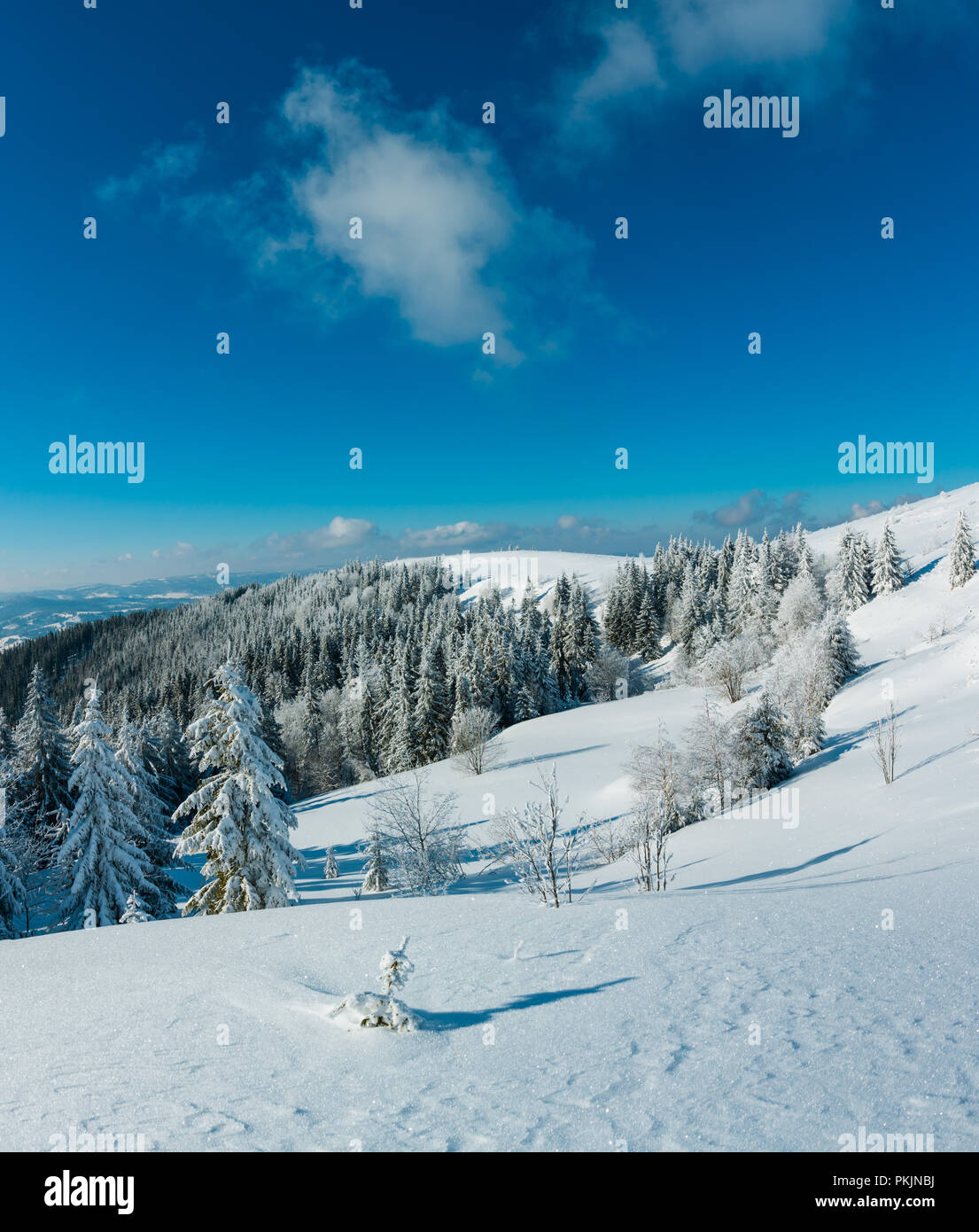 Winter calm mountain landscape with beautiful frosting trees and ...