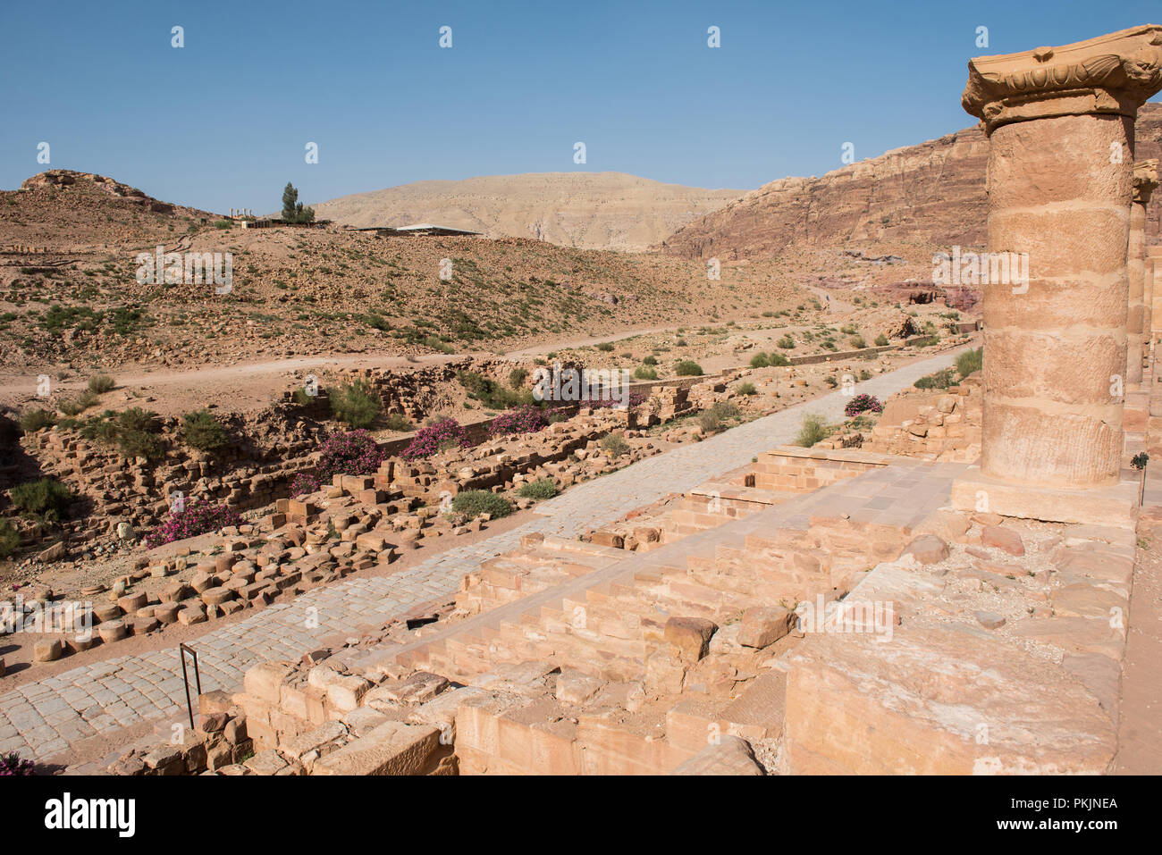 Roman ruins in the Colonnade street. Petra, Jordan Stock Photo - Alamy
