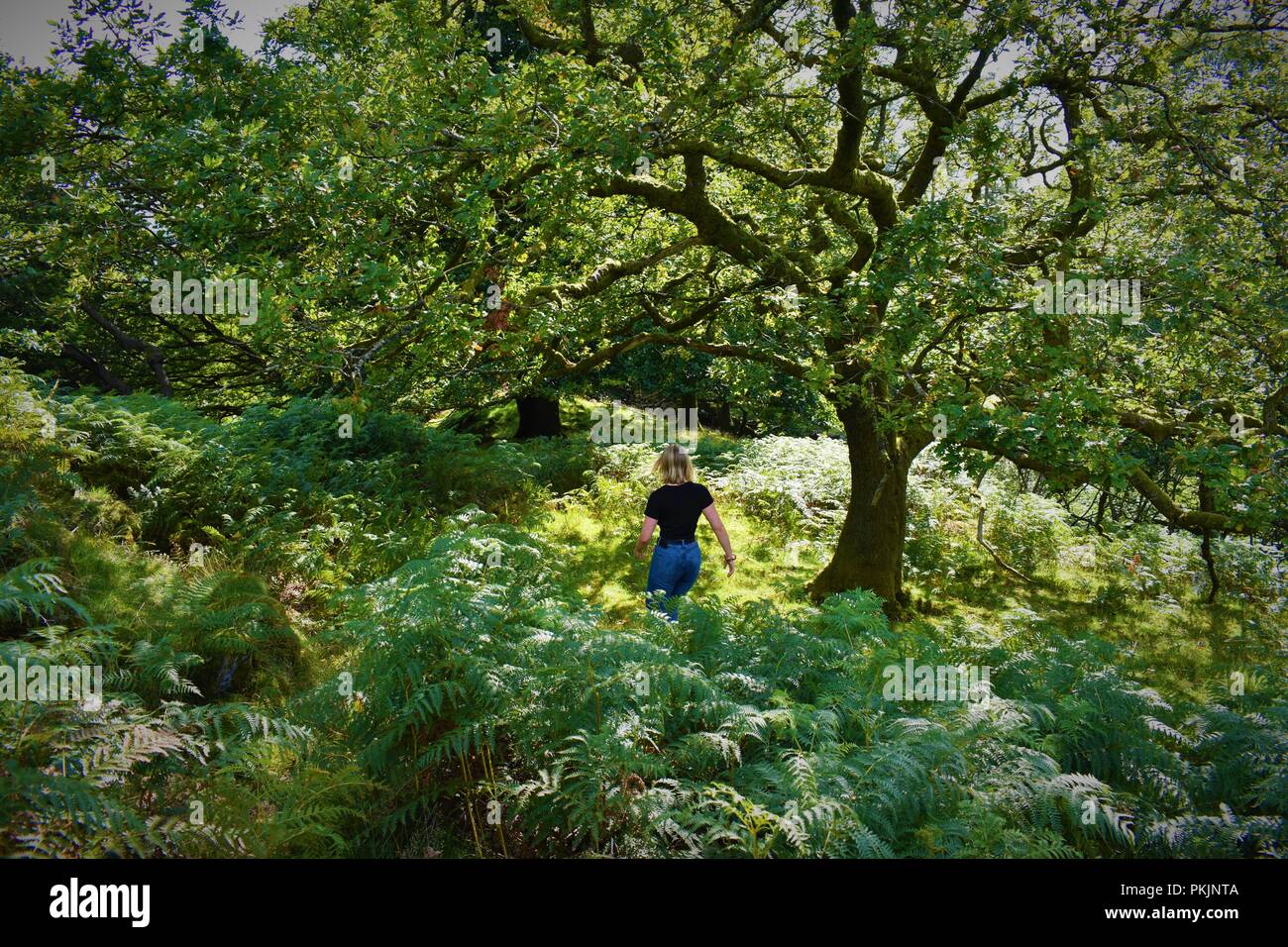 Summer 1976 uk hi-res stock photography and images - Alamy