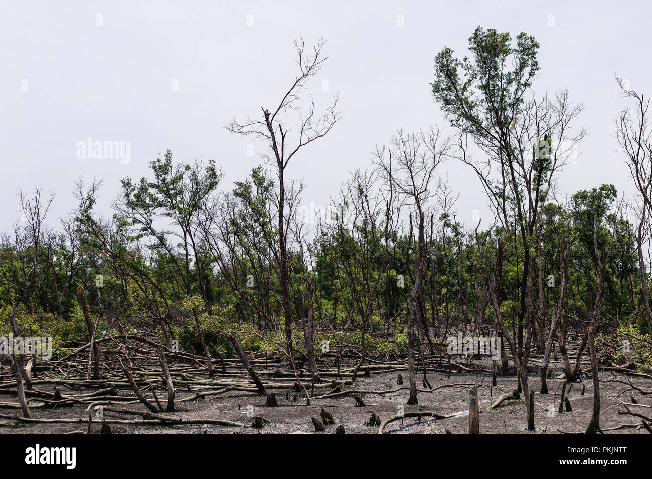 Horrible environment hi-res stock photography and images - Alamy