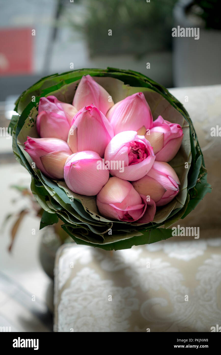 Bunch lotus flower buds hi-res stock photography and images - Alamy