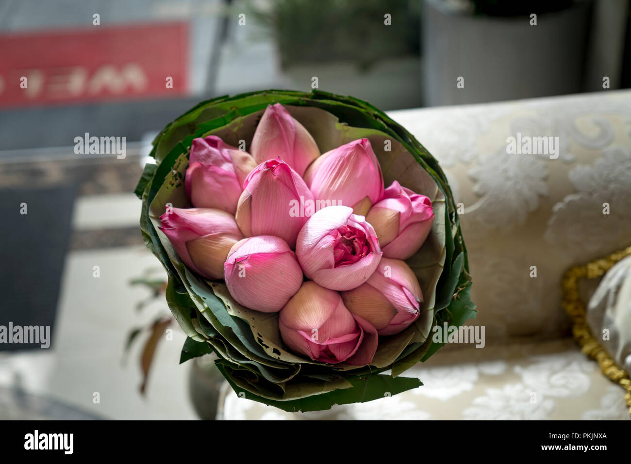 Bunch lotus flower bud buds hi-res stock photography and images - Alamy