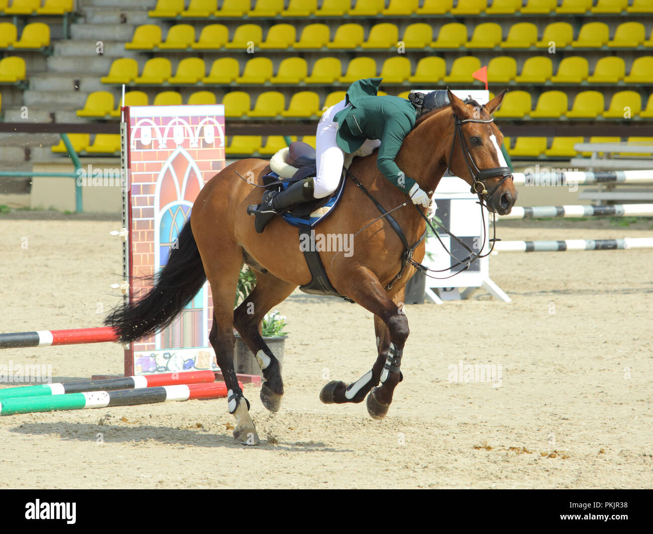 Young rider falling from horse during a competition Stock Photo - Alamy